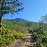 Angora Peak, Oregon - 389 Reviews, Map | AllTrails