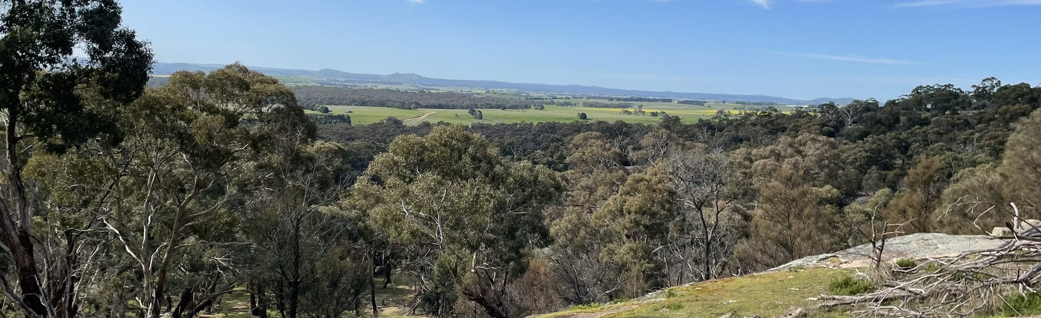 Mount Beckworth Circuit, Victoria, Australia - 69 Reviews, Map | AllTrails