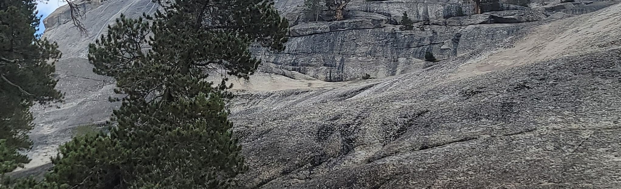 Daff Dome Approach Trail, California - 4 Reviews, Map | AllTrails