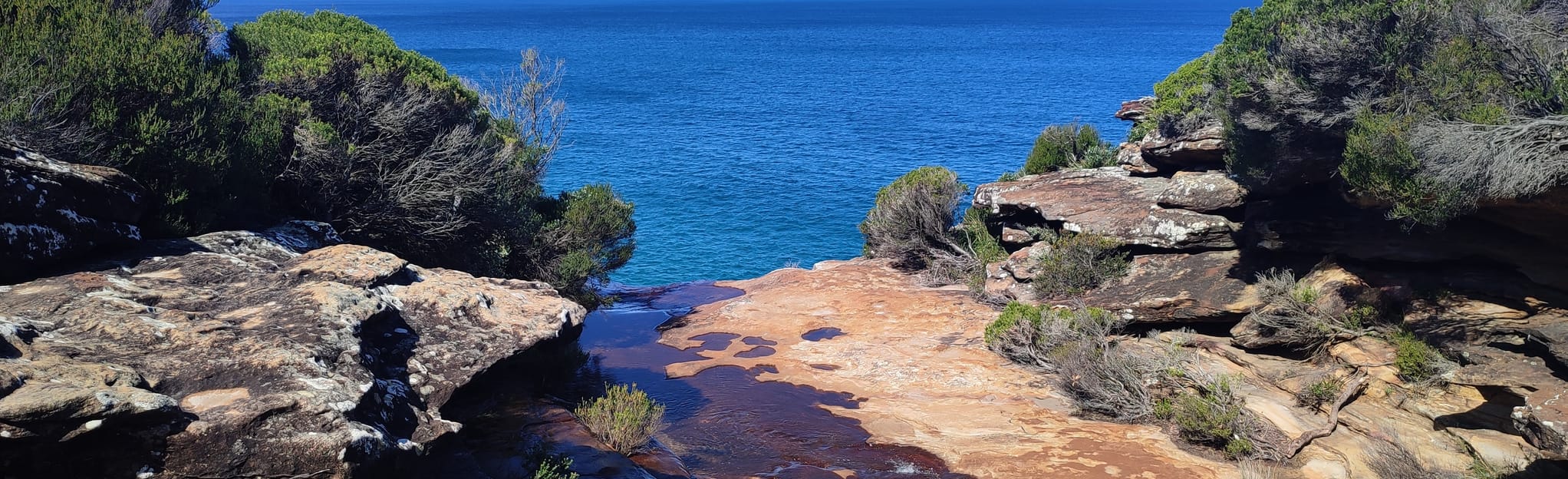 Curra Moors Loop Track, New South Wales, Australia - 358 Reviews, Map ...