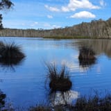 Lake Munmorah and Colongra Swamp Nature Reserve, New South Wales ...