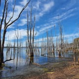 Lake Munmorah and Colongra Swamp Nature Reserve, New South Wales ...