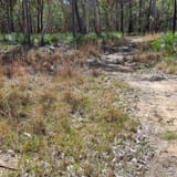 Lake Munmorah and Colongra Swamp Nature Reserve, New South Wales ...
