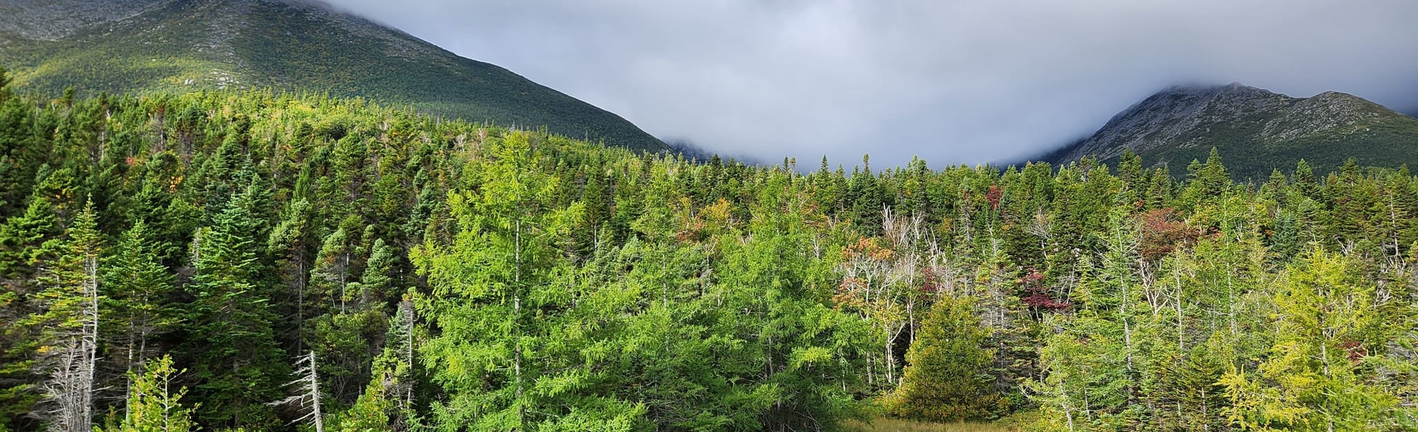 Baxter Peak via Saddle and Cathedral Loop: 84 Reviews, Map - Maine ...