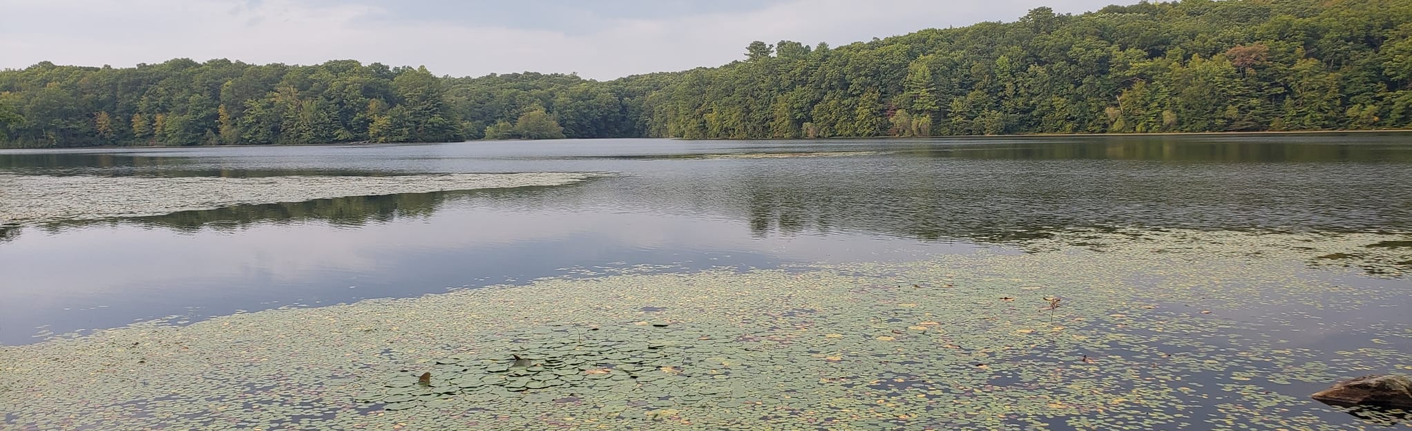 Cockaponset Trail and Pattaconk Loop, Connecticut - 66 Reviews, Map ...