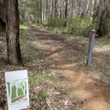 Wadandi Track, Western Australia, Australia - 87 Reviews, Map | AllTrails