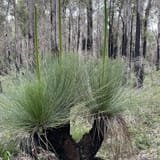 Wadandi Track, Western Australia, Australia - 100 Reviews, Map | AllTrails