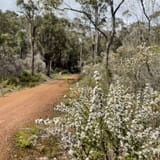 Wadandi Track, Western Australia, Australia - 87 Reviews, Map | AllTrails
