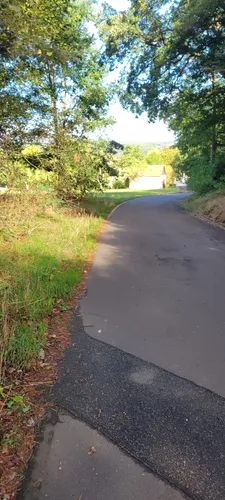 2023 Best Forest Trails in Mackenbach | AllTrails