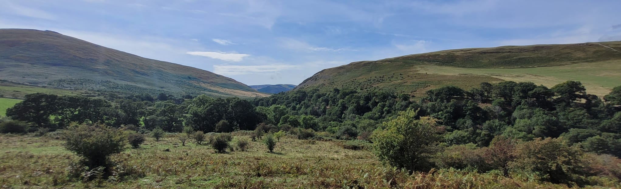 Kirknewton Hillfort Walk, Northumberland, England - 3 Reviews, Map ...