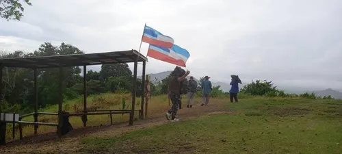 Best Forest Trails in Papar | AllTrails