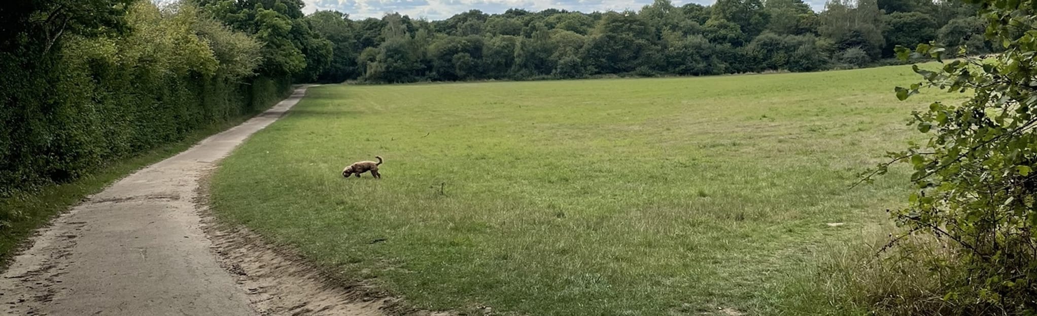 Shotover Northwood Circular, Oxfordshire, England - 47 Reviews, Map ...