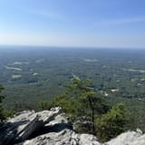 Cook's Wall Trail, North Carolina - 387 Reviews, Map | AllTrails