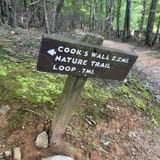 Cook's Wall Trail, North Carolina - 387 Reviews, Map | AllTrails