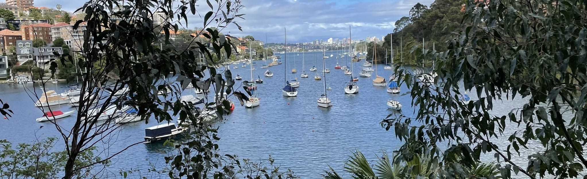 Robertson Point via Jasmine Walk: 126 Reviews, Map - New South Wales ...