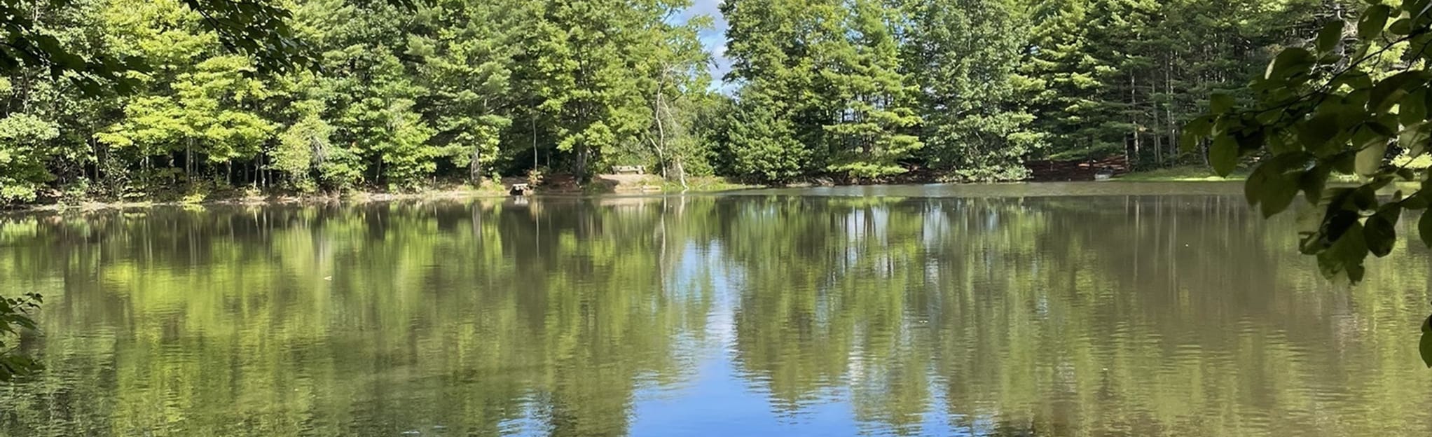 Hackers Falls and Cliff Trail Loop - Pennsylvania | AllTrails