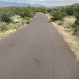 Cactus Forest Loop Drive, Arizona - 378 Reviews, Map | AllTrails
