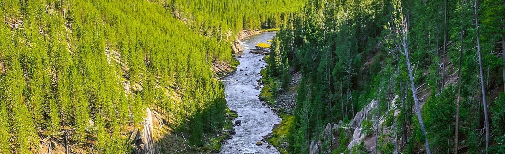 Madison Junction to Norris Drive, Montana - 86 Reviews, Map | AllTrails