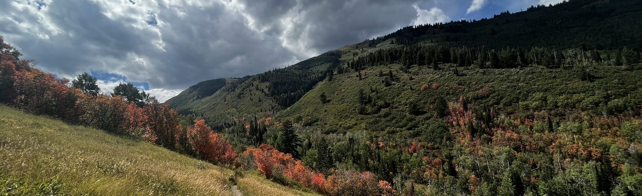 Armstrong Trail to Dawns Trail Loop, Utah - 2,553 Reviews, Map | AllTrails