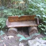 Walker Valley OHV Trail, Washington - 68 Reviews, Map | AllTrails