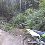 Walker Valley OHV Trail, Washington - 68 Reviews, Map | AllTrails