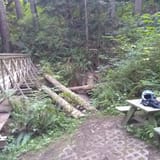 Walker Valley OHV Trail, Washington - 68 Reviews, Map | AllTrails