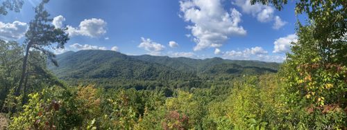 2023 Best 10 Trails and Hikes in Roan Mountain | AllTrails