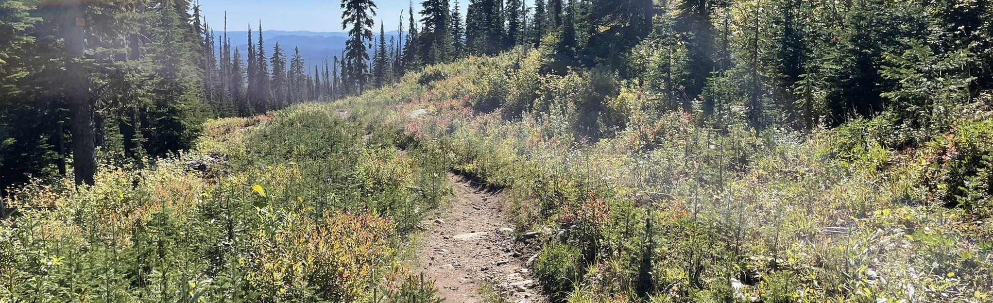 Rhonda Lake Trail: 30 Reviews, Map - British Columbia, Canada | AllTrails