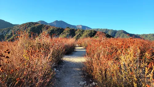 10 Best Trails And Hikes In Sierra Madre Alltrails