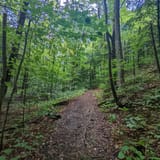 Inman Pond Trail, New York - 262 Reviews, Map | AllTrails