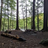 Inman Pond Trail, New York - 262 Reviews, Map | AllTrails