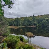 Inman Pond Trail, New York - 262 Reviews, Map | AllTrails