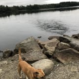 Haggetts Rail Trail to Haggetts Pond, Massachusetts - 409 Reviews, Map ...