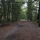 Haggetts Rail Trail to Haggetts Pond, Massachusetts - 409 Reviews, Map ...