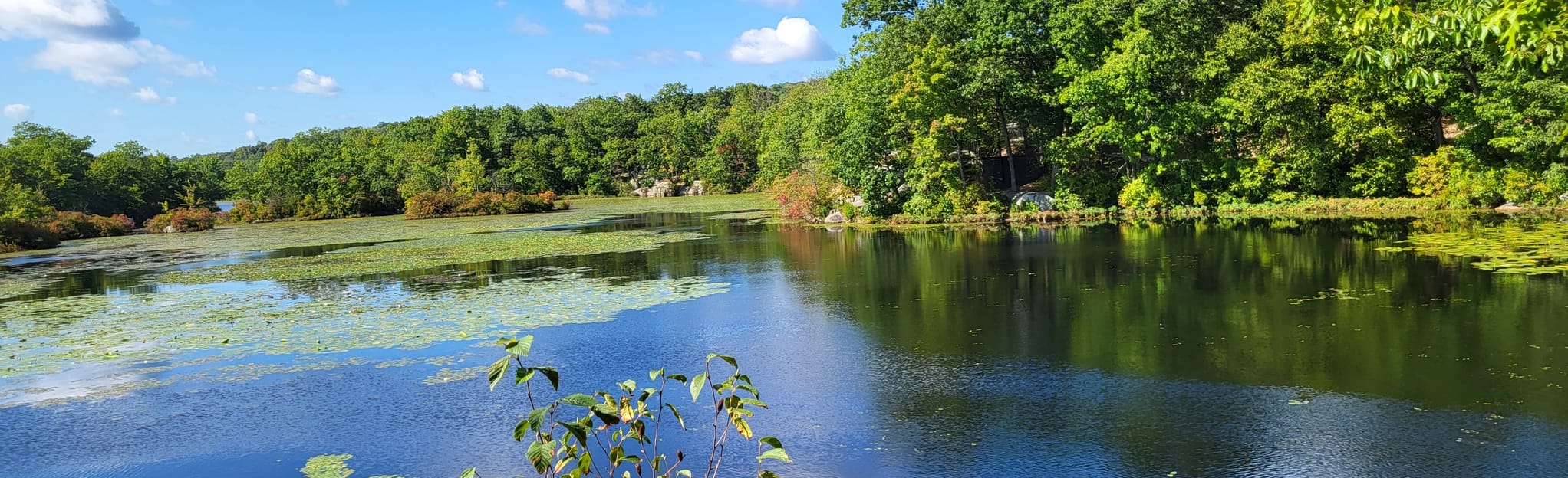 Ramapo Lake Spur Trail | Map, Guide - New Jersey | AllTrails