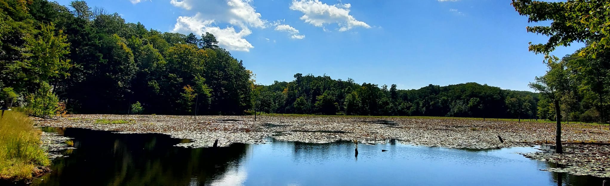 Calvert Cliffs Red and Orange Loop Trail, Maryland - 1,002 Reviews, Map ...