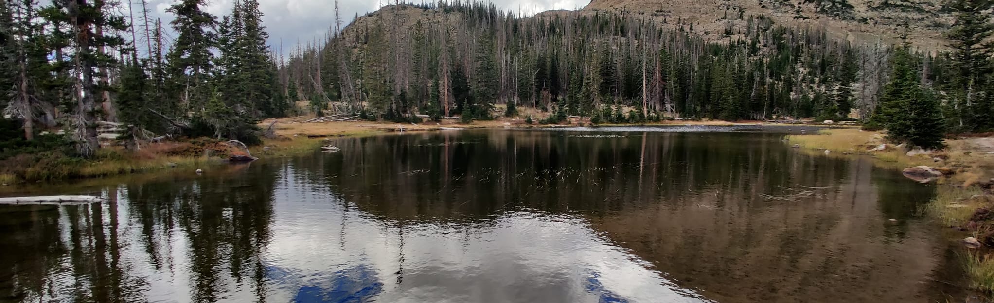 Crystal and Watson Lake Trail: 123 Reviews, Map - Utah | AllTrails