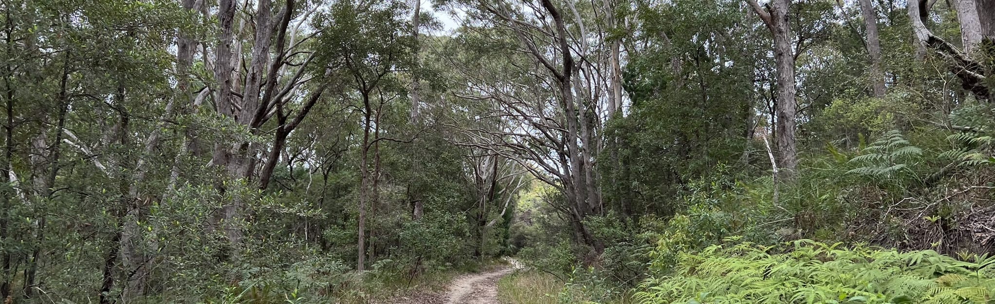 Taylors Lake Road via Ti Tree Lake, New South Wales, Australia - 23 ...