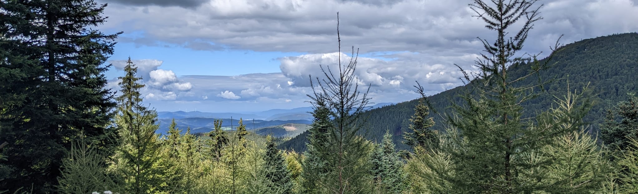 Höhenweg Elzach-Yach - Baden-Württemberg, Germany | AllTrails