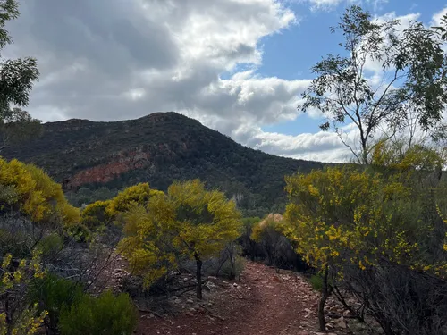 10 Best Trails and Hikes in Flinders Ranges | AllTrails