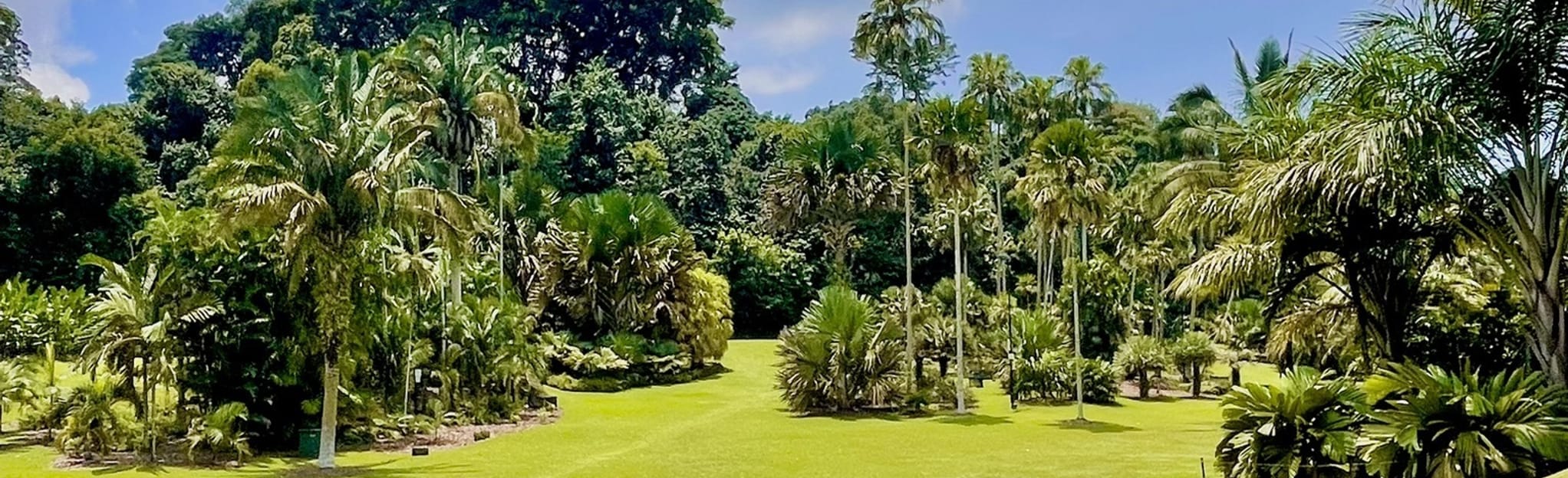 Singapore Botanic Gardens Loop, Central, Singapore - 430 Reviews, Map ...