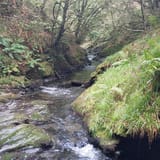 Lydford Gorge Walk, White Lady Waterfall, and Lydford Castle Circular ...