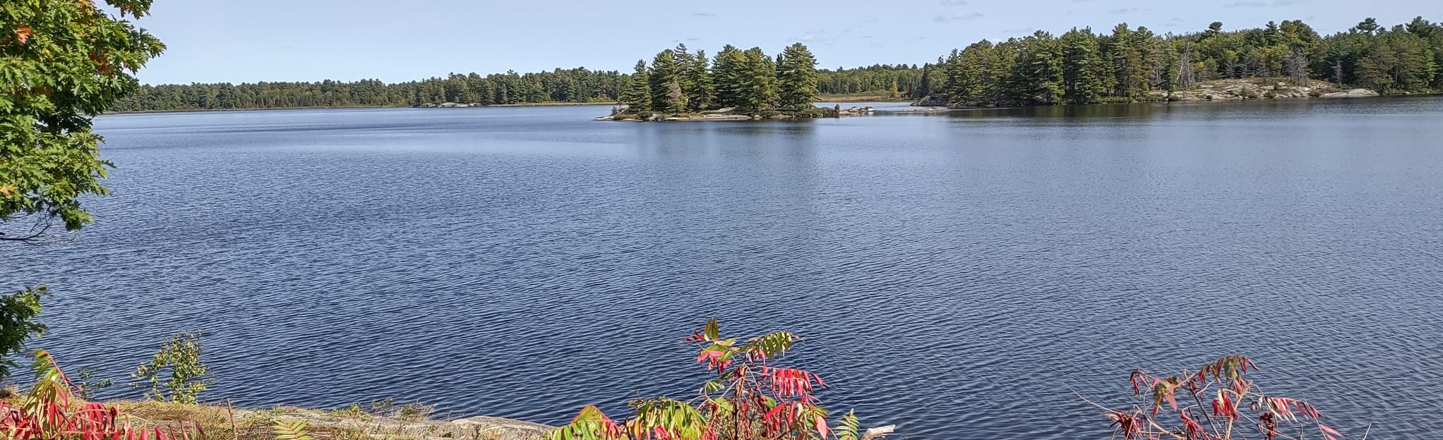 Gurd Lake Paddle [CLOSED], Ontario, Canada - 10 Reviews, Map | AllTrails