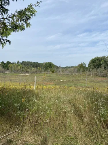 Best Hikes and Trails in Mystery Valley Karst Preserve | AllTrails