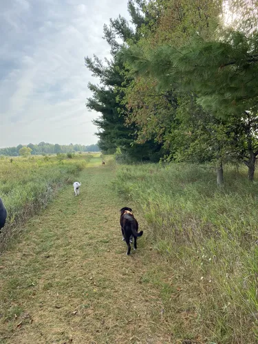 Best Hikes and Trails in Mystery Valley Karst Preserve | AllTrails