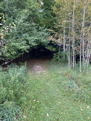 Best Hikes and Trails in Mystery Valley Karst Preserve | AllTrails