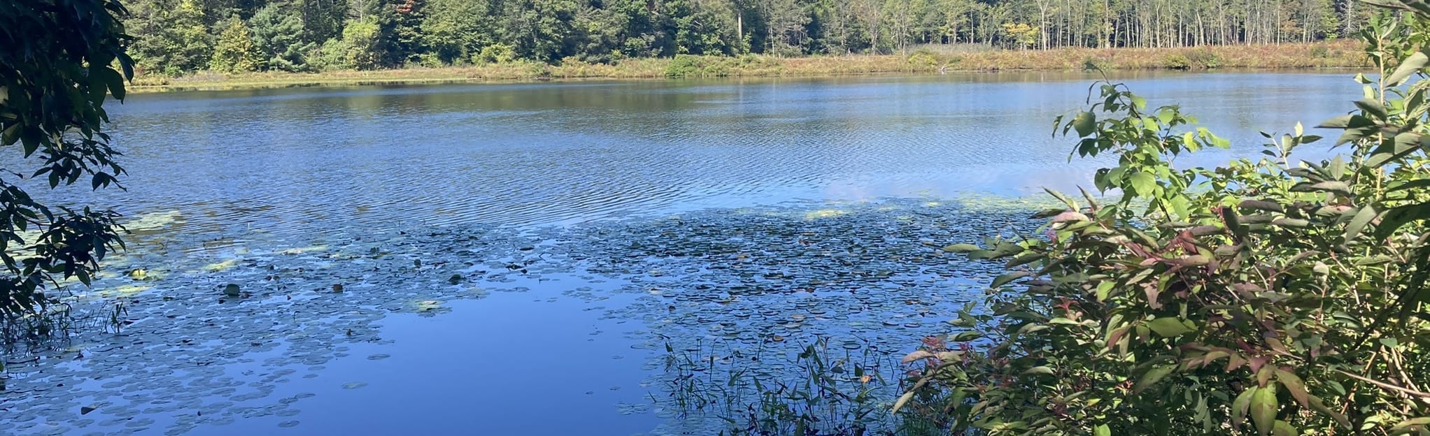 Shaupeneak Ridge White, Blue, and Red Trail Loop, New York - 322 ...