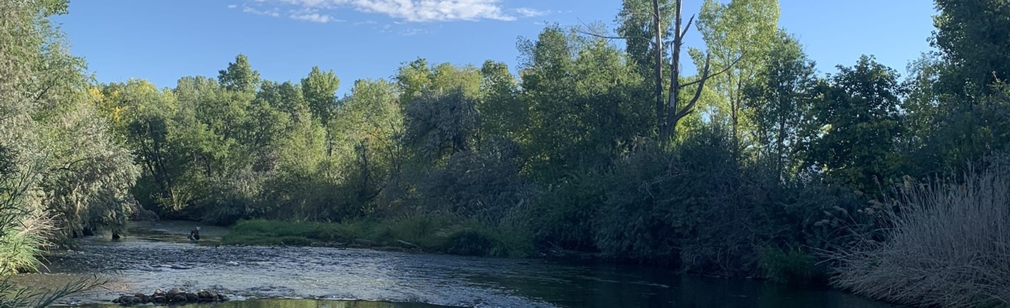 Weber River Parkway : 269 Reviews, Map - Utah | AllTrails