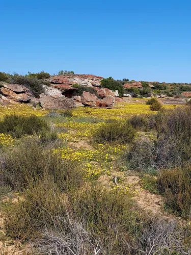 2023 Best Waterfall Trails in Vanrhynsdorp | AllTrails