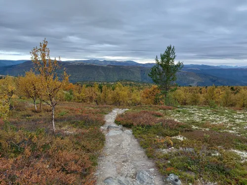 Best 10 Hiking Trails in Rondane National Park | AllTrails